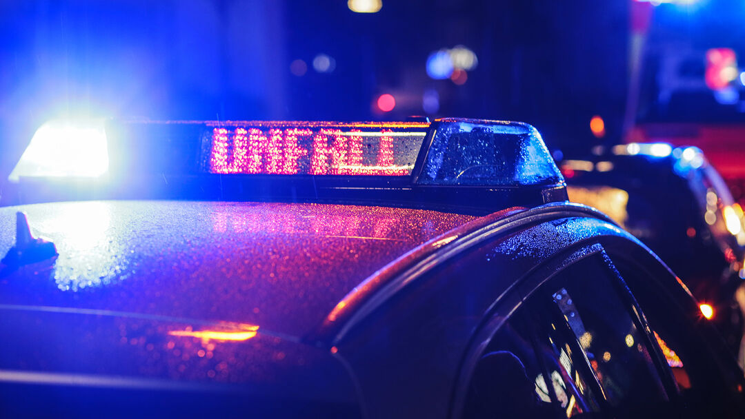 Beastars Season 3: Release Date, Cast, and Everything You Need to Know – Archyde